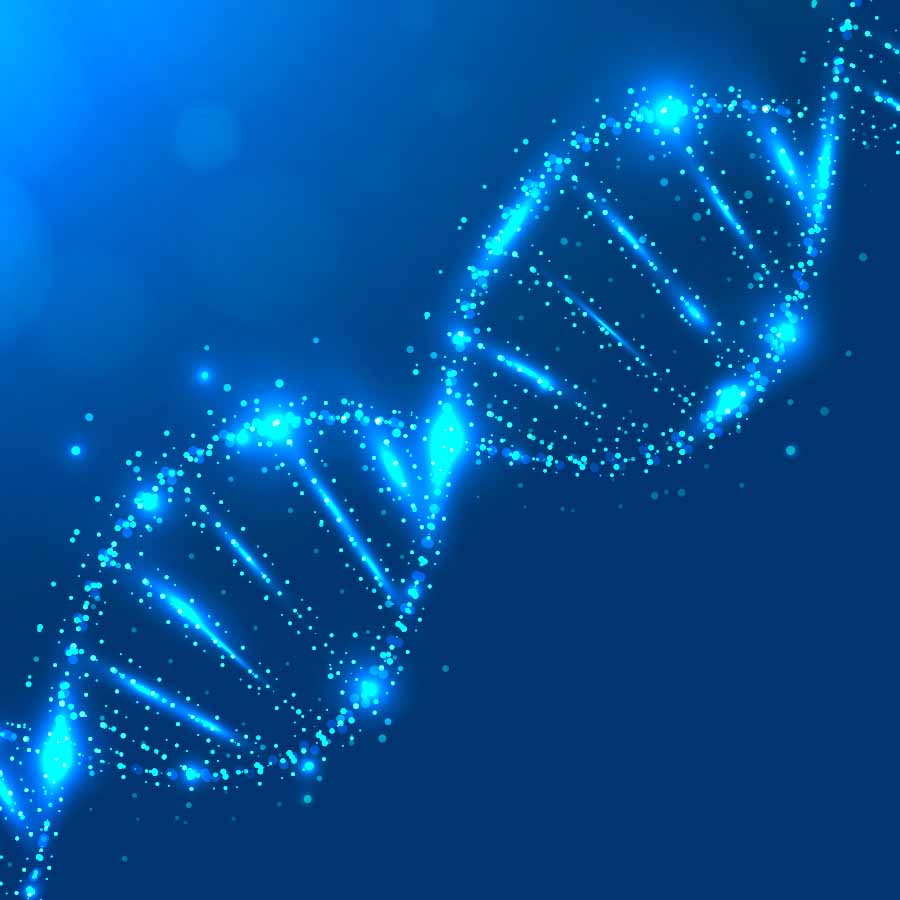 Who We Are – His Kingdom Church